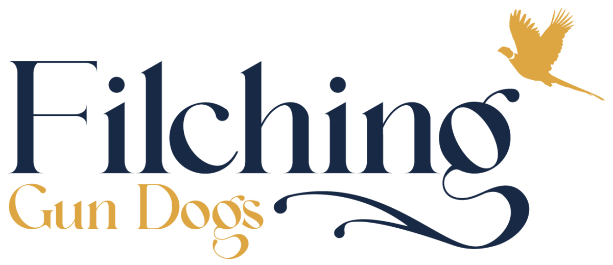 Filching Gun Dogs: Tailored Training for Gun Dogs.