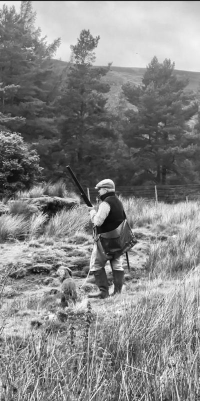 Filching Gun Dogs: Tailored Training for Gun Dogs.