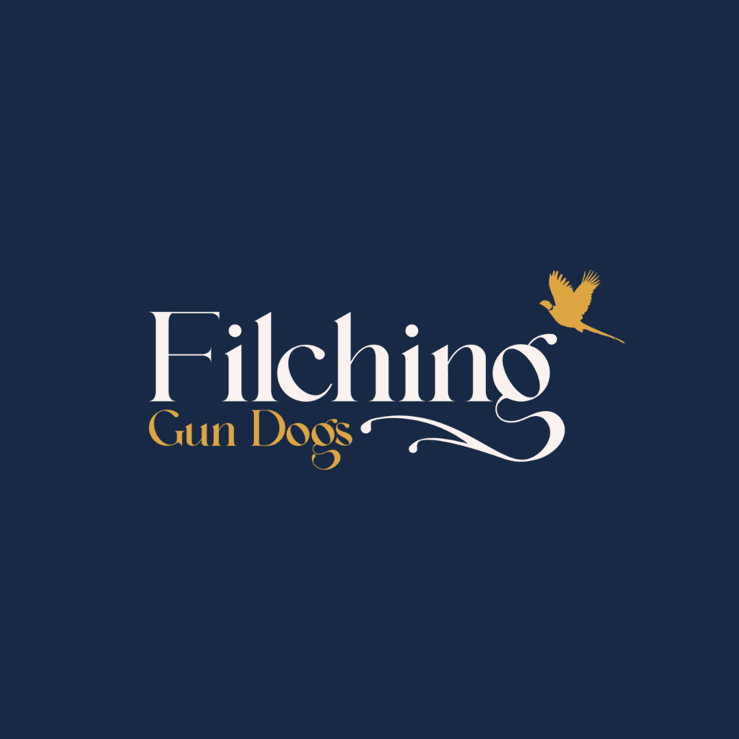 Filching Gun Dogs: Tailored Training for Gun Dogs.